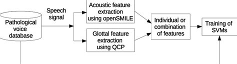 Training Phase Of The Pathological Voice Detection System Based On The Download Scientific