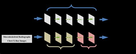 The Proposed 2D Object Detection Network With Fine Tuning Method Download Scientific Diagram
