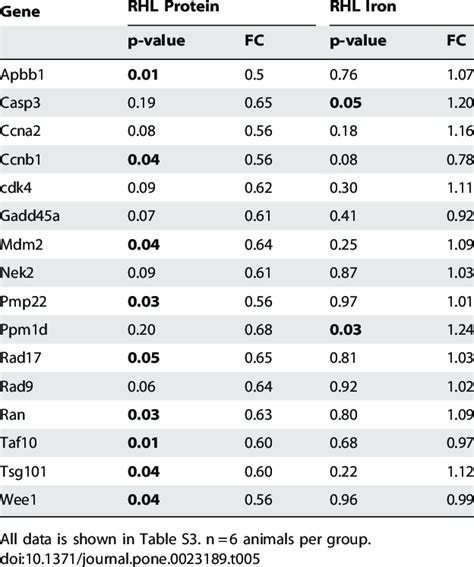 Selection Of Gene Expression Data From Rt 2 Profiler Rat Cell Cycle Pcr