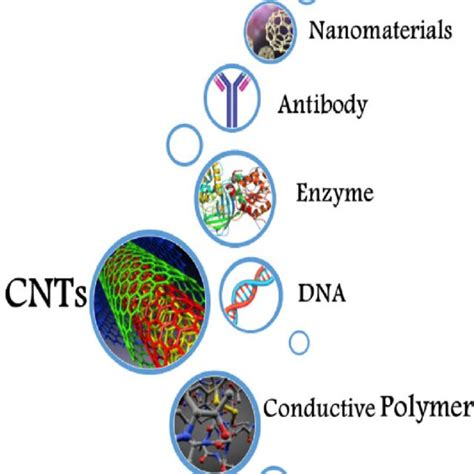 chemical modifications of cnts using conductive polymer dna antibody