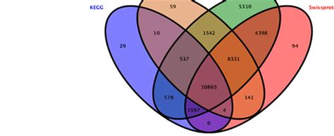 Venn Diagram Of Functional Annotation Against Four Major Databases Download Scientific Diagram