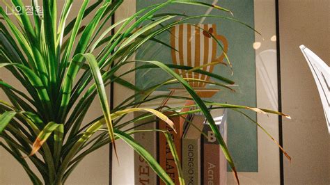 𝙋𝙡𝙖𝙮𝙡𝙞𝙨𝙩 힙한 감성 카페에서 흘러나오는 음악 Youtube