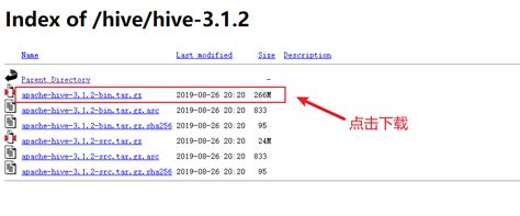 hive数据仓库的安装配置 配置hive guava修改 csdn博客