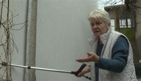 Възрастна жена простреля мъж по погрешка за да се отърве от бездомни кучета Информационна