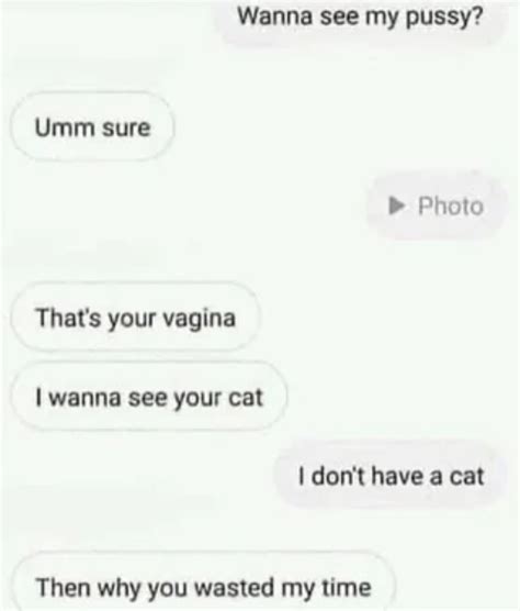 Im Sorry For Another Cat Related Ace Joke I Hope You Guys Enjoy 🙈 R