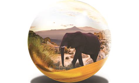 Microcosmic Contrast Factor Lifestyle The Namibian