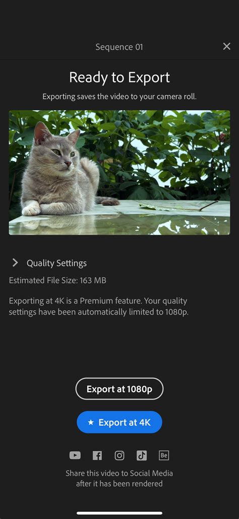 Export Issue Adobe Community 14749889