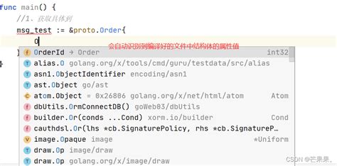 如何利用protobuf协议实现go语言编程（保姆级教程）proto3传输bytes Go语言 Csdn博客