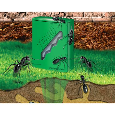 Terro T1812 Outdoor Liquid Ant Killer Bait Stakes 8 Traps Energy