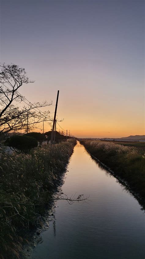 회복탄력성을 아세요
