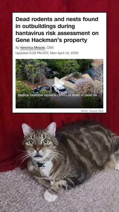 Dead Rodents And Nests Found On Gene Hackmans Property During