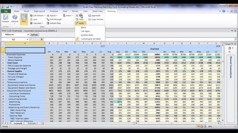 How To Apply Custom Formatting To Hyperion Planning Data Entry Forms In