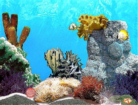 Download Animated Fish Wallpaper 50 Free 3d Fish Tank Wallpaper On