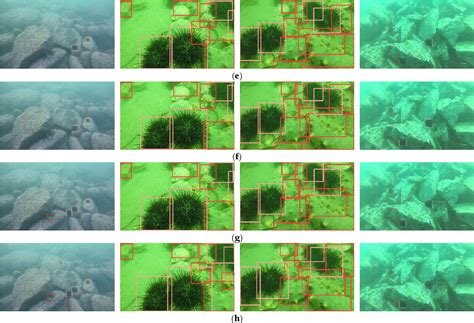 Figure 10 From An Improved Yolov5s Based Scheme For Target Detection In A Complex Underwater
