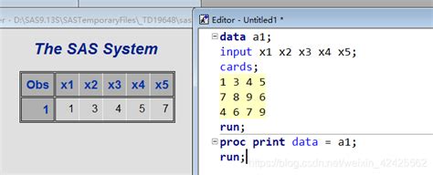 sas初学者笔记 003 利用数据步读取数据 input语句的用法 sas input csdn博客