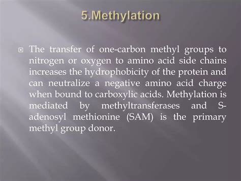 Post Translational Modifications Pptx Chemistry Science