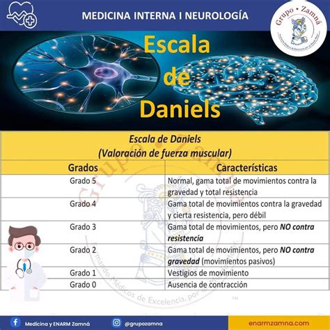 Escala De Daniels Medicina Interna Fuerza Muscular Medicina