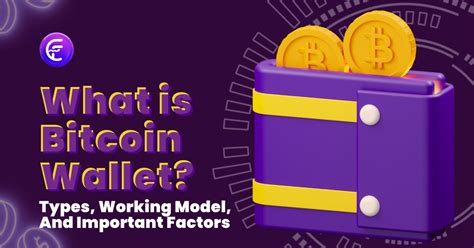 Bitcoin Wallet Types Working Model And Important Factors