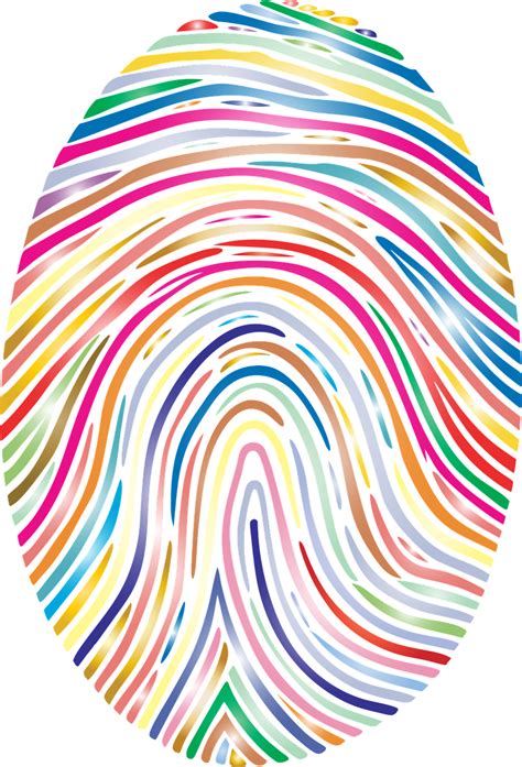 Download Fingerprint Pattern Unique Royalty Free Vector Graphic Pixabay