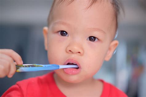 귀여운 작은 아시아 18 개월 1 년 오래 된 유아 소년 아이 입고 빨간색 셔츠 지주 칫 솔과 양치질 2 3 살에 대한 스톡 사진 및 기타 이미지 Istock