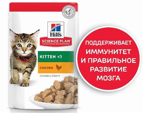 Товары для животных на акции | Garfield.by