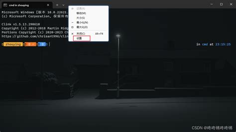 Windows 11系统cmd终端美化、vscode终端美化 Csdn博客