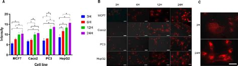 Exosome Uptake By Cancerous Cells A Fluorescence Intensity Download Scientific Diagram
