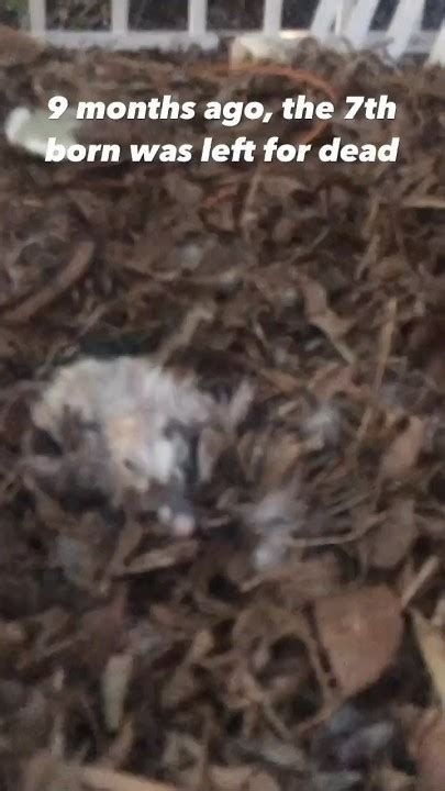 Lenka Love On Linkedin Lenkalove 225 Comments