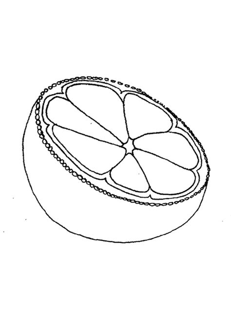 Как нарисовать срез лимона 98 фото