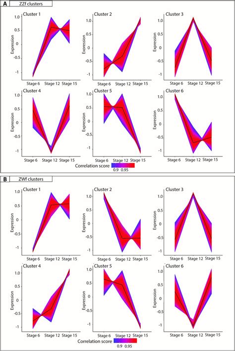 Two Transcriptionally Distinct Pathways Drive Female Development In A Reptile With Both Genetic