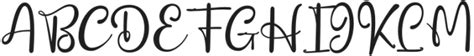 Aliyascript Regular Otf 400 Font Script Decorative What Font Is