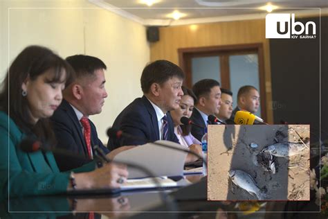 Ubn Mn ЮУ БАЙНА On Twitter БОАЖЯ Буйр нуурын мөнгөлөг хэлтэг загас ӨВЧИЛЖ хорогдсон T