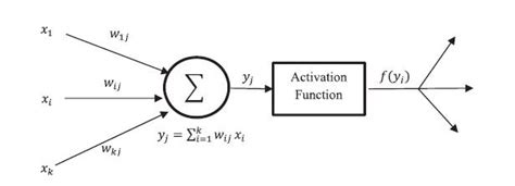 Ann Structure Of Single Neuron Download Scientific Diagram