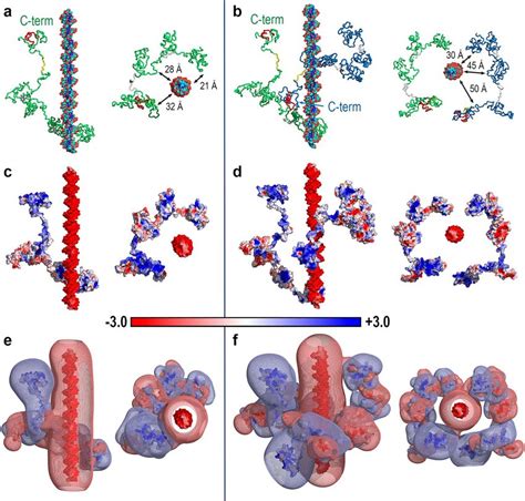 Structure And Poisson Boltzmann Electrostatic Potential Of The Initial Download Scientific