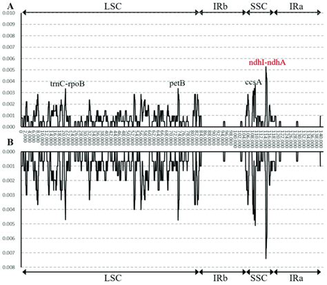 Chloroplast Genomic Analysis Using Sliding Window Method A All Seven Download Scientific