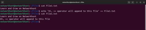 How To Save The Output Of A Command In A File In Linux Networkhunt