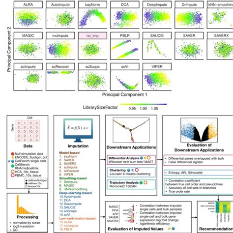 Pdf A Systematic Evaluation Of Single Cell Rna Sequencing Imputation