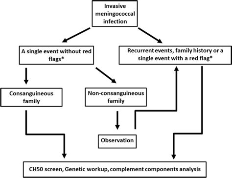 A Diagnostic Algorithm For Invasive Meningococcal Infections Red Download Scientific Diagram