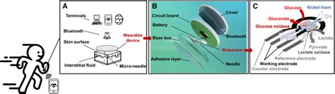 Continuous Monitoring Of Multiple Biomarkers With An Ultrasensitive 3d Structured Wearable