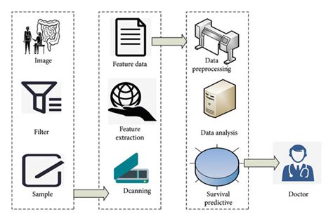 Architecture Of Predictive Models For Survival Analysis Download Scientific Diagram