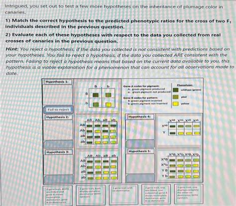 Solved Intrigued You Set Out To Test A Fers More Hypotheses