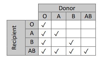 Blood Lines Devlog 1 Itch Io