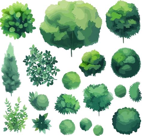 Premium Vector Wonderful Trees Bushes Shrubs Seasesonal Vector Art