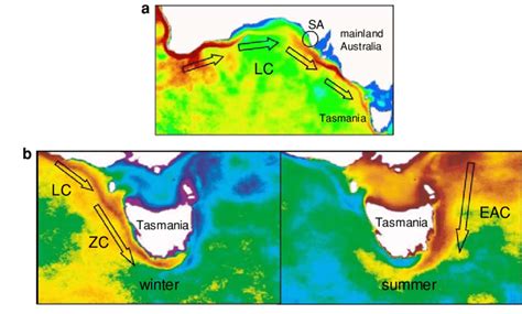 A Sea Surface Temperature Sst Image Showing Extent Of The Leeuwin Download Scientific Diagram