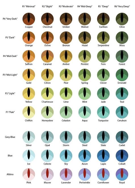 Pin By Gothic Illustration On Original Characters Art Advice Warrior Cat Drawings Warrior