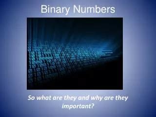 PPT Binary Numbers PowerPoint Presentation Free Download ID 4990565