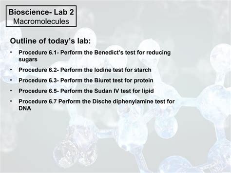 Lab 2 Powerpoint Ppt