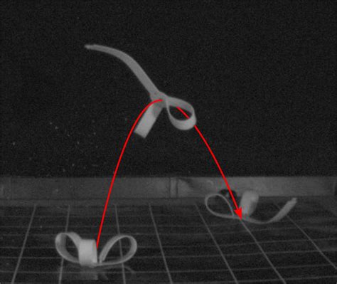 Stochastic Jumping Robots For Large Scale Environmental Sensing