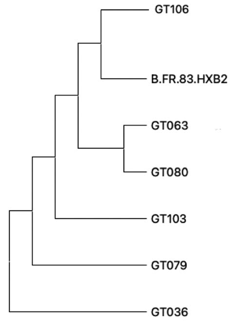 Phylogenetic Analysis Of Female Sex Workers Phylogenetic Download