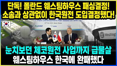 단독 폴란드 웨스팅하우스 패싱결정 소송과 상관없이 한국원전 도입결정했다 눈치보던 체코원전 사업까지 급물살 웨스팅하우스 한국에 완패했다 Youtube